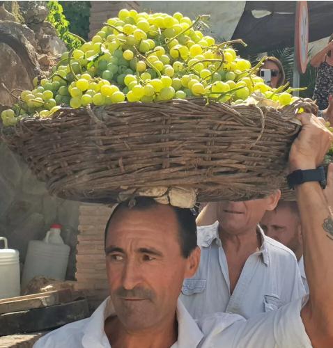 The Cómpeta Wine Festival, Noche del Vino, August 15 - Adults Only ...