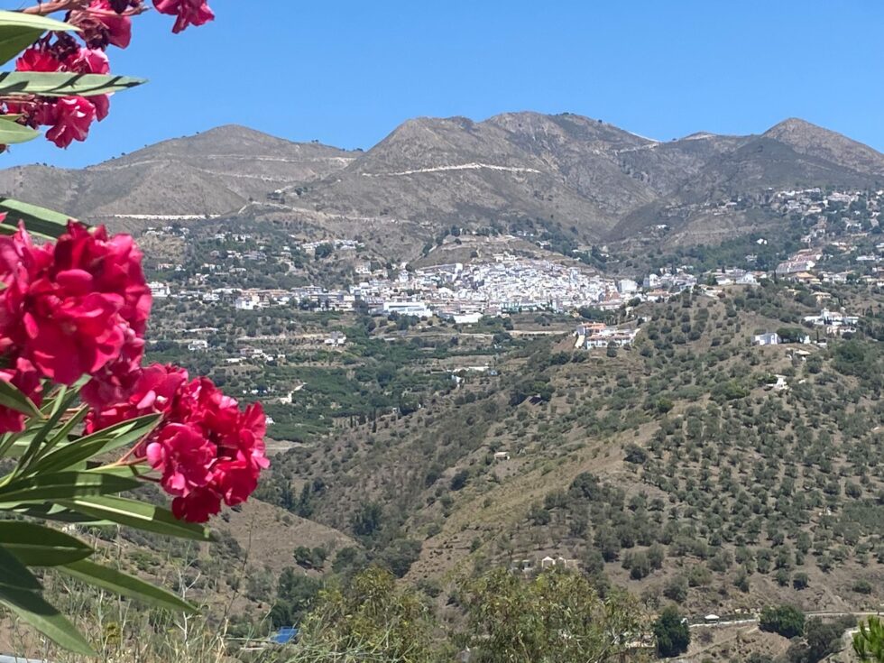 A Scenic Adventure: Hiking from Competa to Canillas de Albaida ...