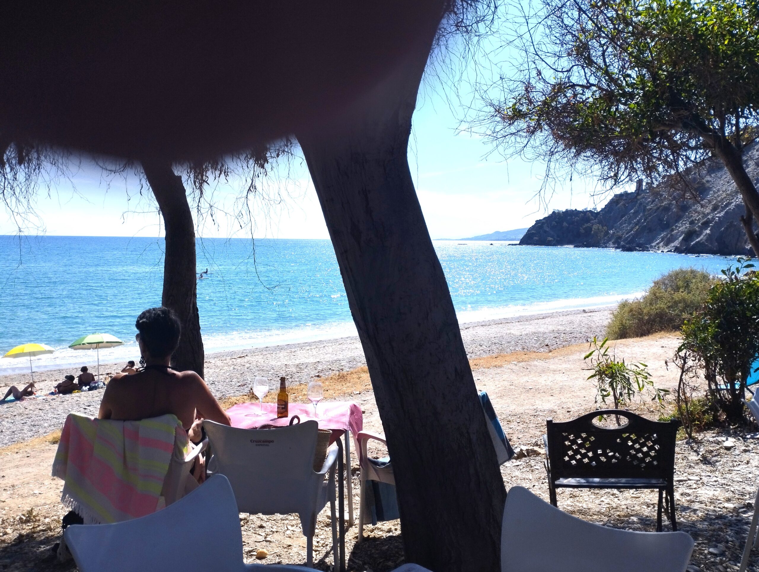 For you: news about Competa and a brief reflection on 2024 - Adults ...